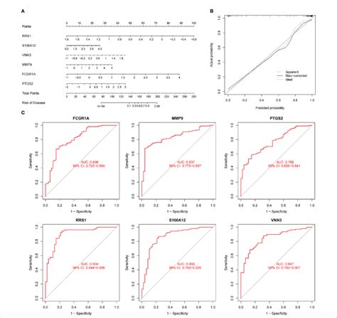 Nomogram Construction And Prediction Accuracy Evaluation A Nomogram