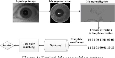 Figure 2 From Predicting And Classifying Gender From The Human Iris A