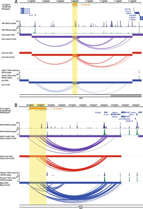 Mapping Dna Interaction Landscapes In Psoriasis Susceptibility Loci