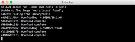 install redis docker ubuntu