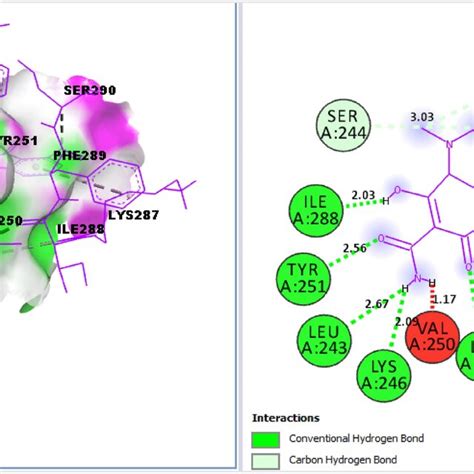 Binding Interaction Between 14 And Alpha Dsba2 Pdb 6eez Download
