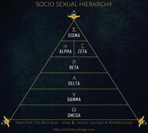 Delta Male Powerful Delta Male Traits And The Social Hierarchy