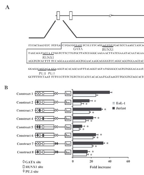 Effects Of Point Mutants Of Runx1 And Pu 1 Binding Motifs On Ccr3