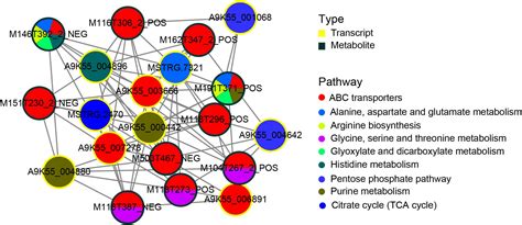 Frontiers Transcriptome And Metabolome Profiling Unveils The