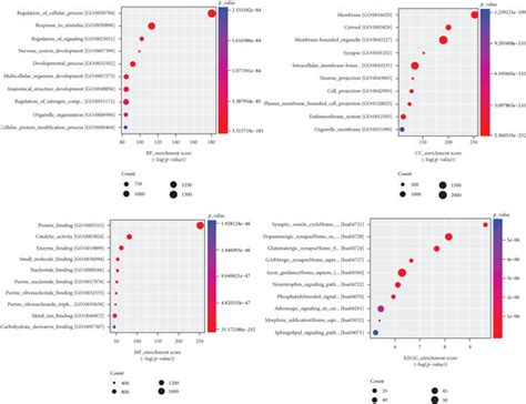 Top Ten Go And Kegg Enrichment Annotations Of The Turquoise Module Bp