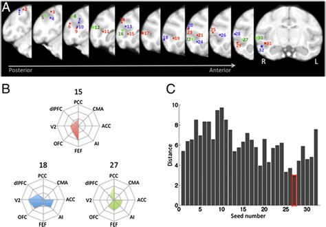 Matching Functional Connectivity Of Human Tpj And 32 Macaque Sts Seeds