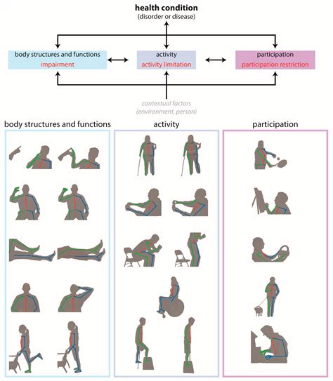 Sensors Free Full Text Applications Of Pose Estimation In Human