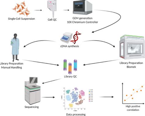 Automation Enables High Throughput And Reproducible Single Cell