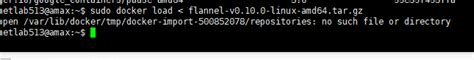 docker load的 repositories no such file or directory问题 docker load no