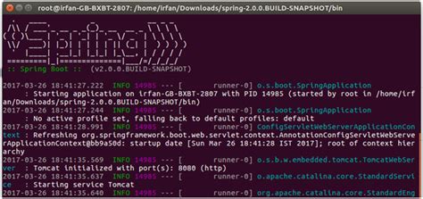 spring boot cli javatpoint