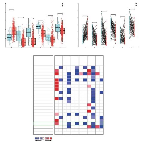 The Expression Levels Of Hub Genes Based On Tcga And Oncomine