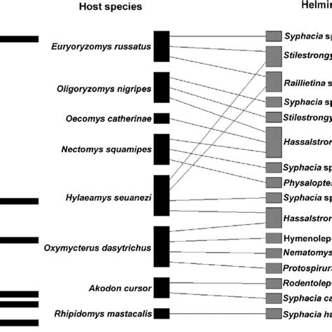 The Bipartite Network Analysis Illustrating The Rodent Helminth