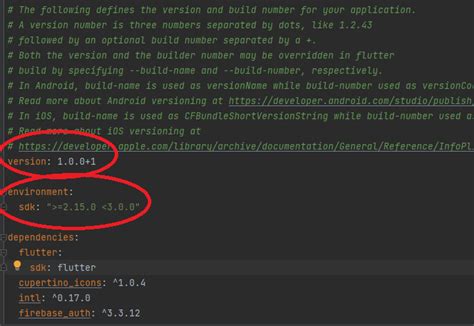 flutter how do i know the latest version of dart environment sdk