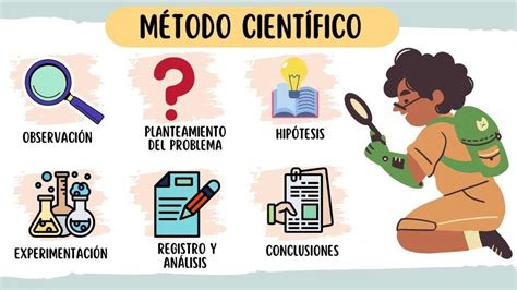 Cuáles Son Los Pasos Del Método Científico Para Niños Escuela Experta