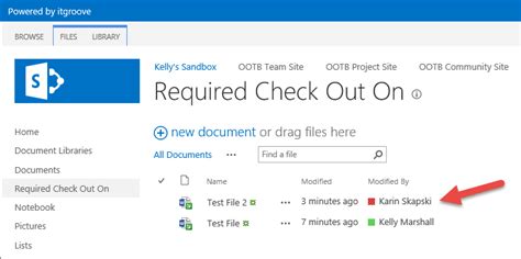 how to make hidden files with no checked in version