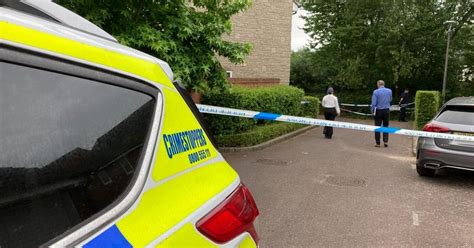 Portishead Murder Investigation Police Update After Incredibly