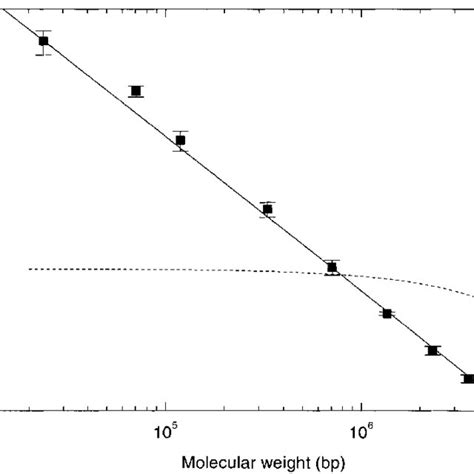 The Experimental Frequency Of Dna Fragments Distribution Per Cell Dna