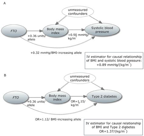 In A Mendelian Randomization Framework Genotype Phenotype Association