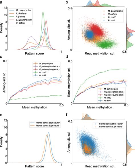 Identification Of Methylation Patterns Associated With Cmt2 And Drm2 In