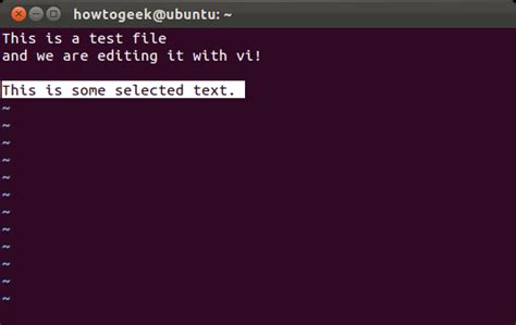 a beginner s guide to editing text files with vi