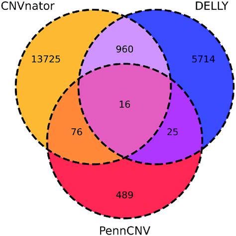 Copy Number Variation Regions Identified From Whole Genome Sequencing
