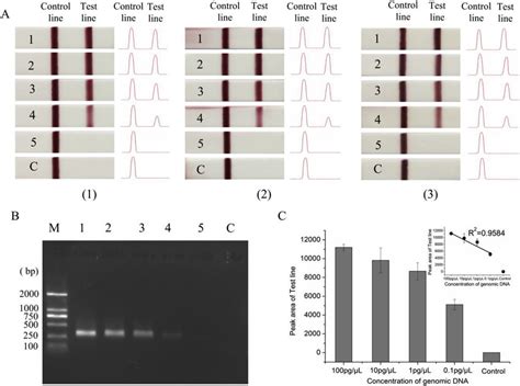 Sensitivity Assay Of The Gold Nanoparticle Based Lateral Flow