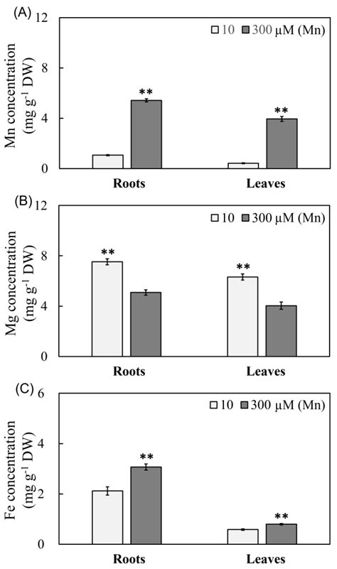 Ijms Free Full Text Comparative Transcriptome Analysis Reveals