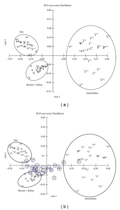 principal coordinates analysis pco based on the frequencies of 47