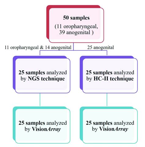 Flow Chart Of The Analyzed Specimens Ngs Next Generation Sequencing