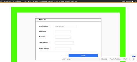 styling form embedded in wordpress using custom css codes