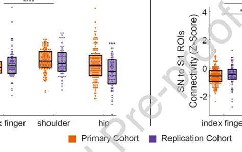 Salience Network Sn Connectivity To Primary Sensorimotor Cortex