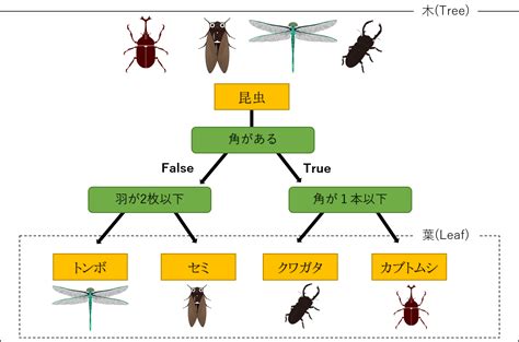 decision tree using python python how to explain the decision tree