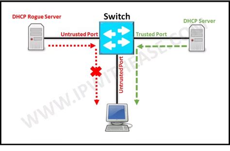Dhcp Snooping Guide To Basics Of Dhcp Snooping Ip With Ease