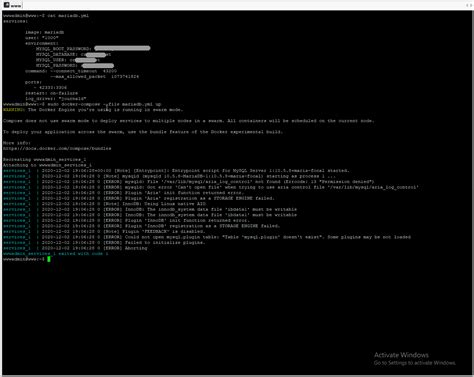 viacheslav eremin deploy data to dockerized mysql and mariadb