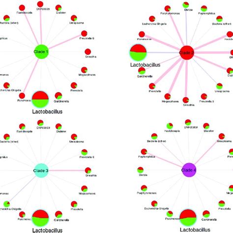 Diagram Representing The Correlations Between Bacterial Genera And