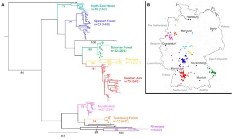 Prediction Of The Spatial Origin Of Puumala Virus Infections Using L