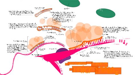 26 3 Translational Regulation And Protein Degradation Biology Libretexts