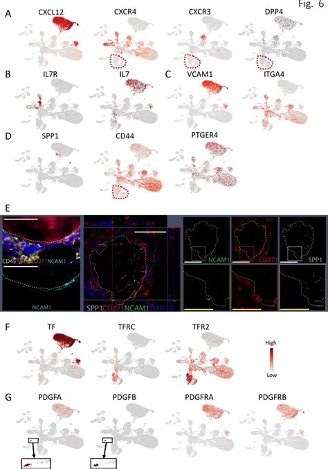 Figures And Data In Identification Of Phenotypically Functionally And