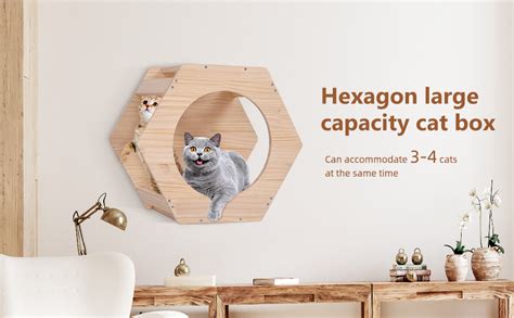Cat Wall Furniture Cat Wall Shelves And Perches Set