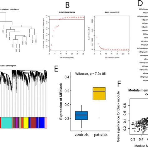 Wgcna And Module Analysis A Clustering Dendrograms Of All Samples