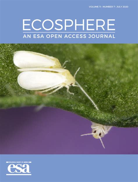 Estimating Abundance With Interruptions In Data Collection Using Open