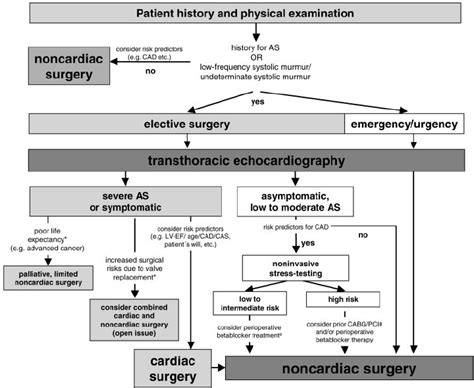 Diagnostic Algorithm Suggested For The Preoperative Evaluation Of