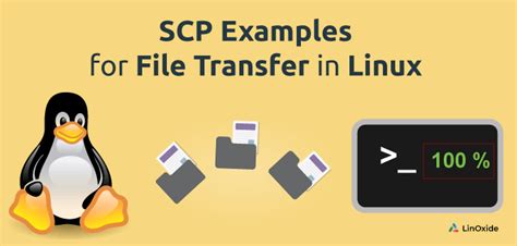 how to use scp command to transfer files