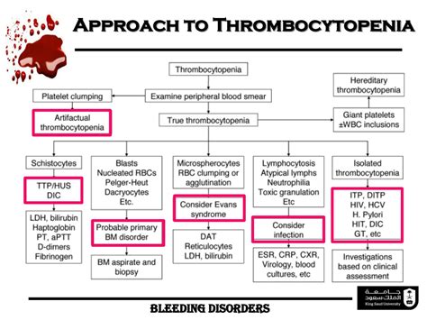 Antibiotic Induced Thrombocytopenia