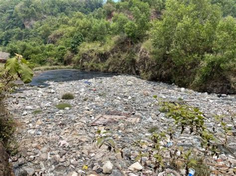 Diduga Limbah Blotong Dibuang Di Kubangan Warga Cilurah Keluhkan Bau