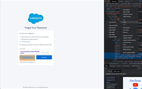unable to access the button in selenium python using xpath stack overflow