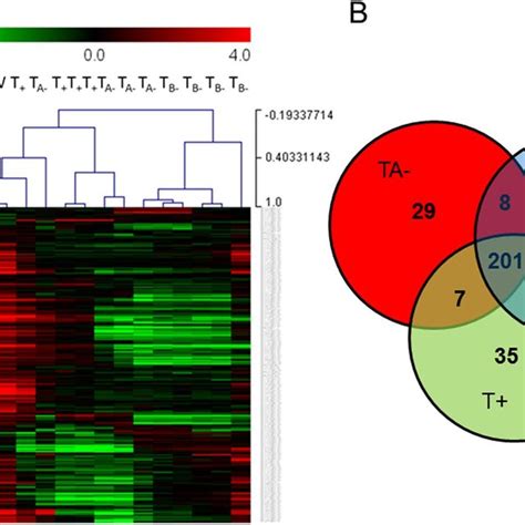 analysis of microarray results a heat map and pearson hierarchical