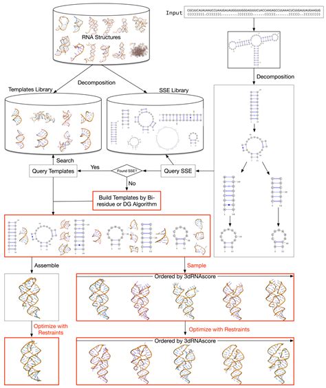 Ijms Free Full Text 3drna V2 0 An Updated Web Server For Rna 3d