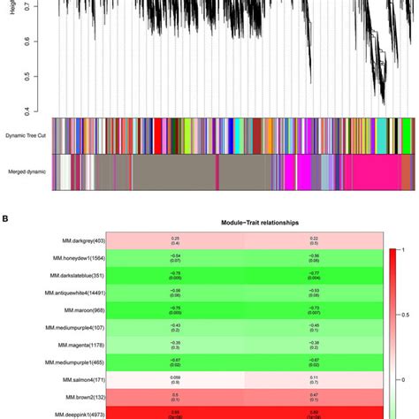 Co Expression Network Analysis Of Degs And Module Trait Relationship