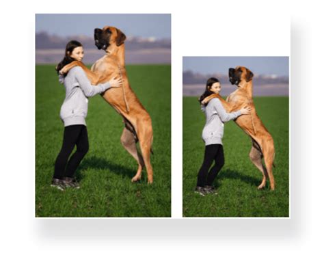 using opencv for face recognition on raspberry pi 4